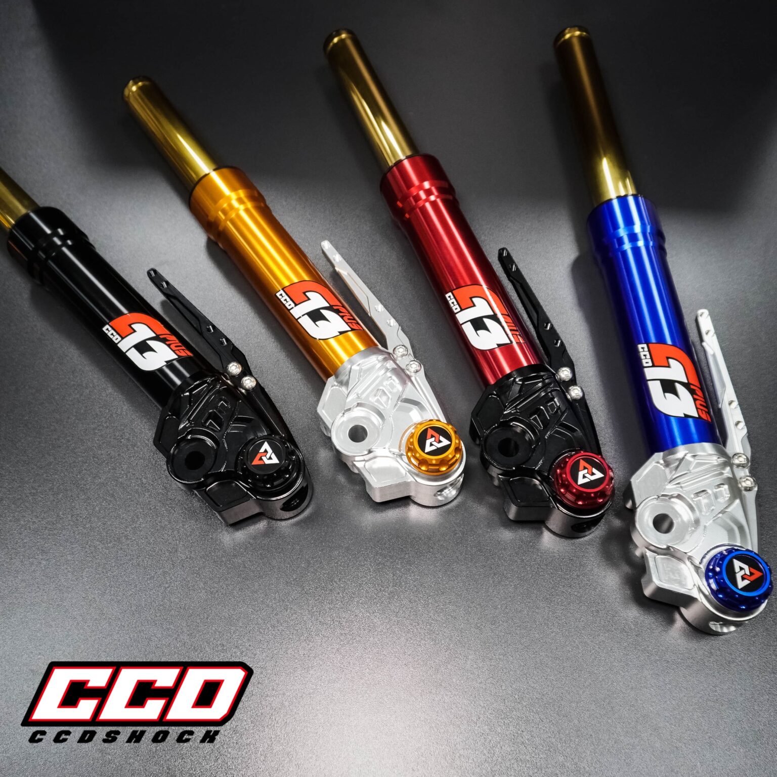 CFS-C13 PLUS - CCD Factory